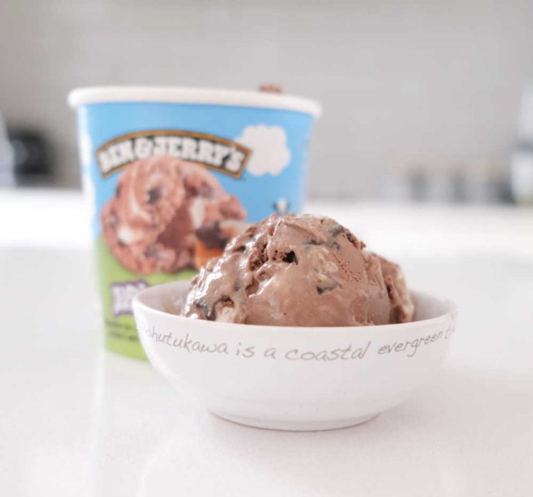 Review Of Ben & Jerry's Phish Food Ice Cream 458ml - Scoop Club