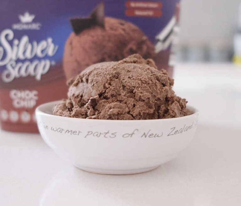 Review Of Monarc Silver Scoop Choc Chip Ice Cream 2L - Scoop Club